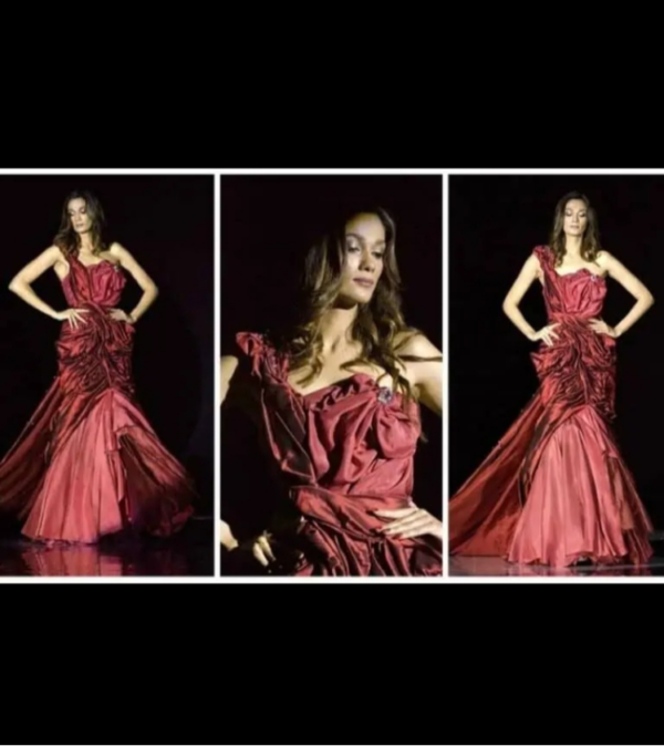 The Most Luxurious and Expensive Women’s Outfit in the World - The ...
